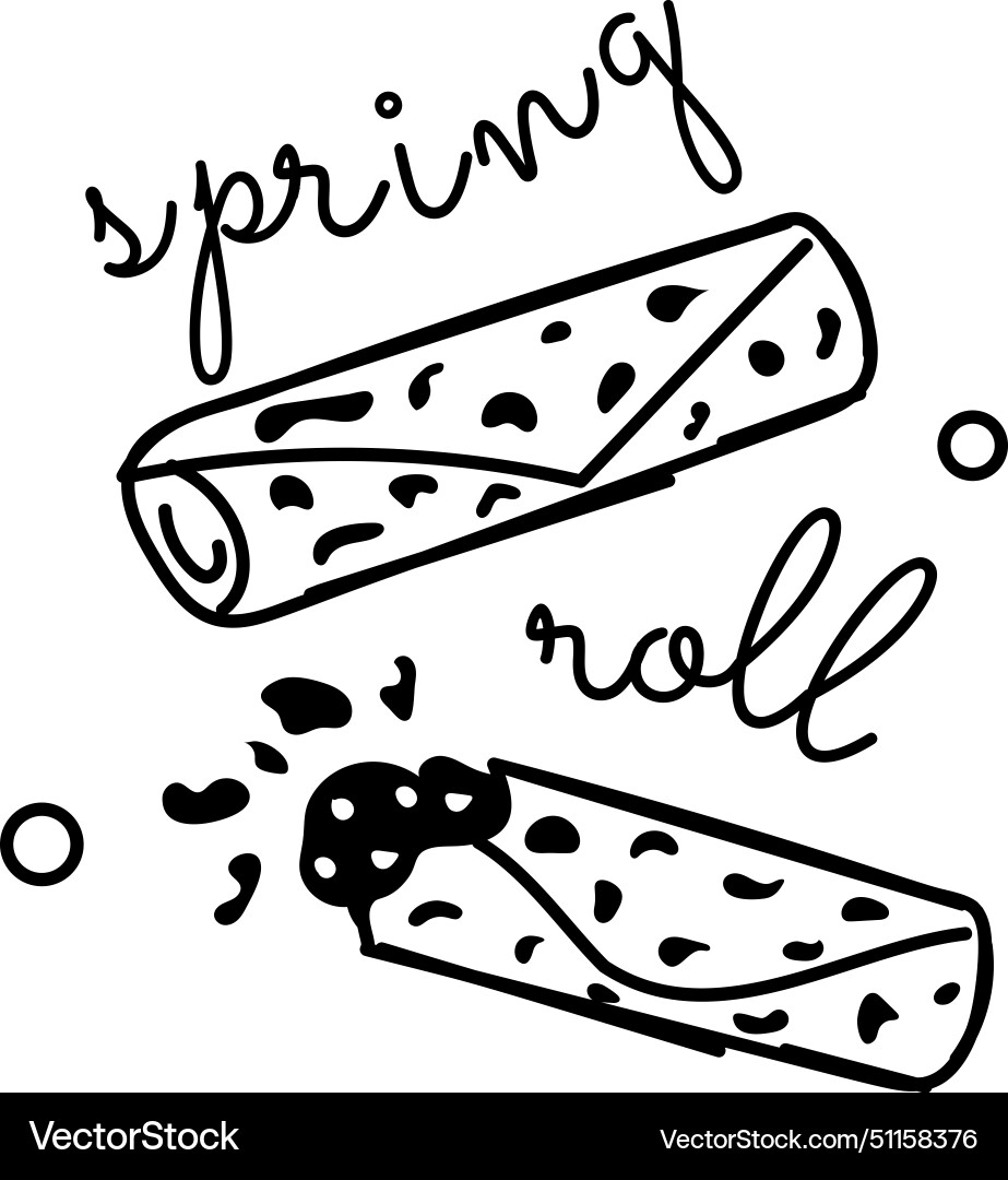 Spring rolls Royalty Free Vector Image - VectorStock