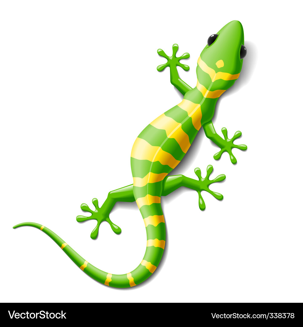 Gecko Vector Images (over 5,700)