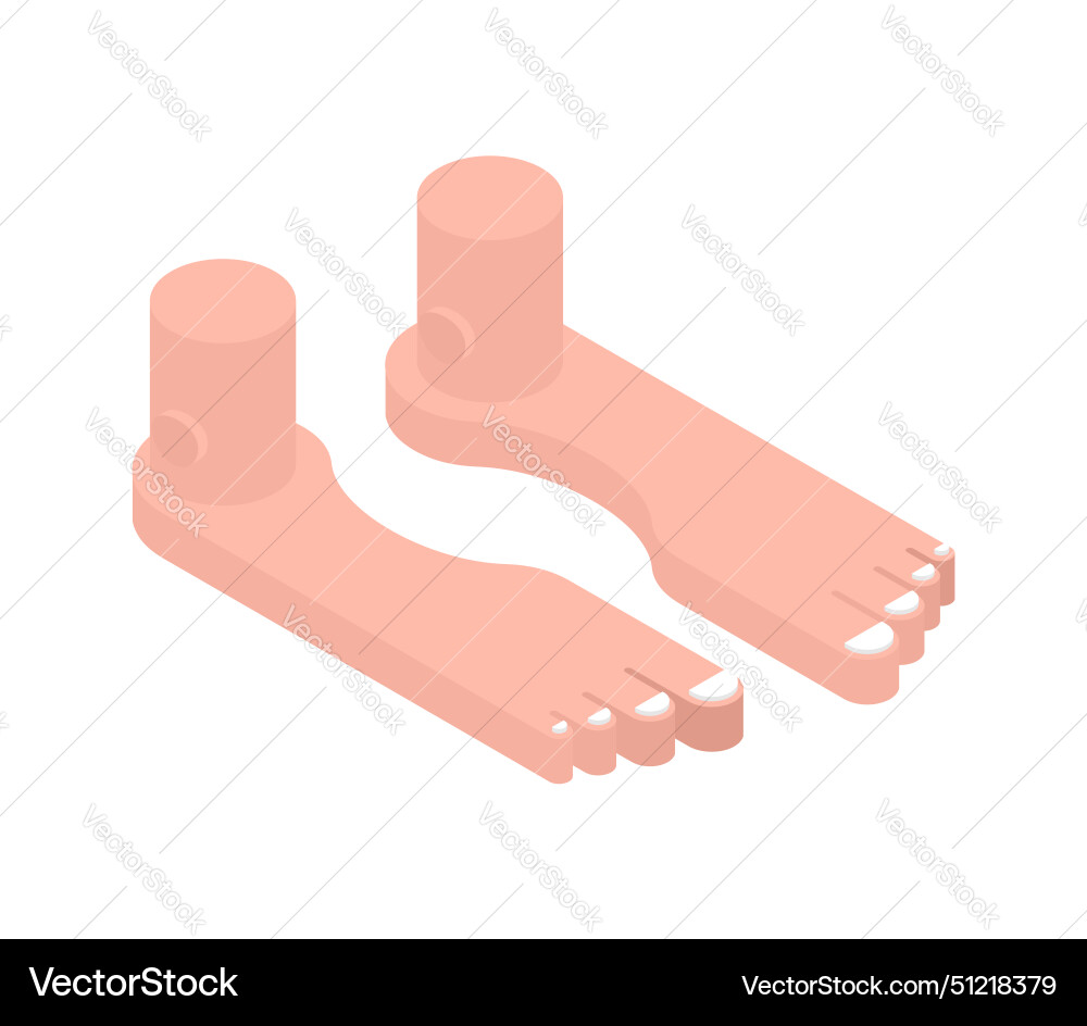 Feet isometric isolated toes two legs Royalty Free Vector