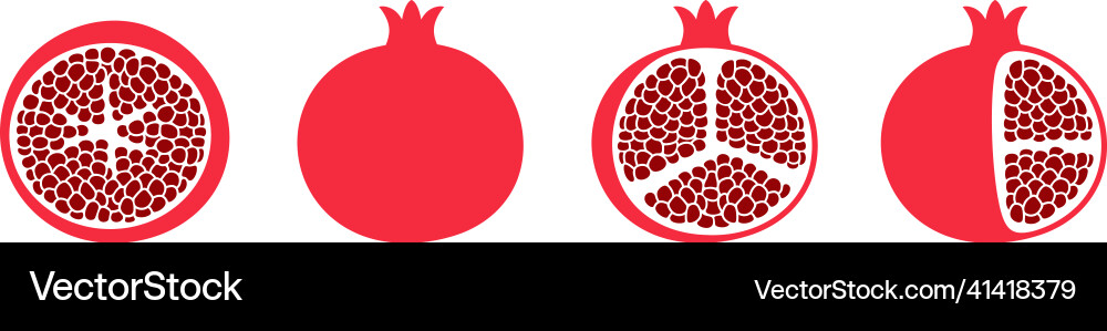 Pomegranate Royalty Free Vector Image - VectorStock