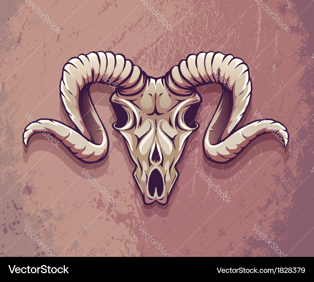Terrible animals skull Royalty Free Vector Image