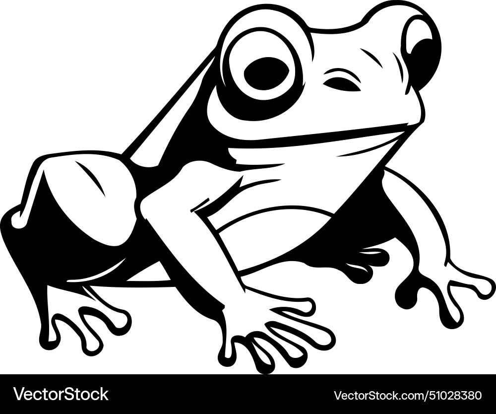Frog character cartoon isolated on a white Vector Image