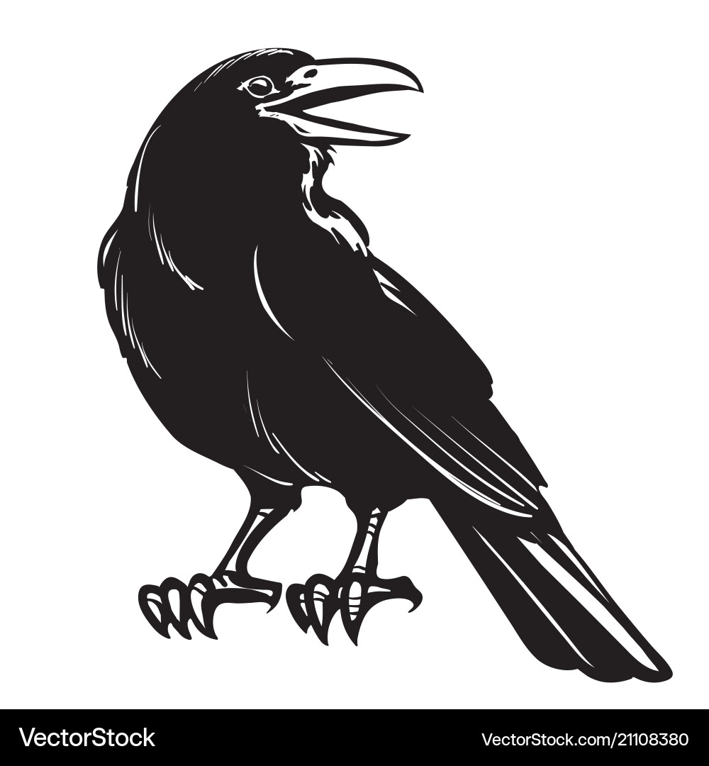 Clever Crow Vector Images (over 110)