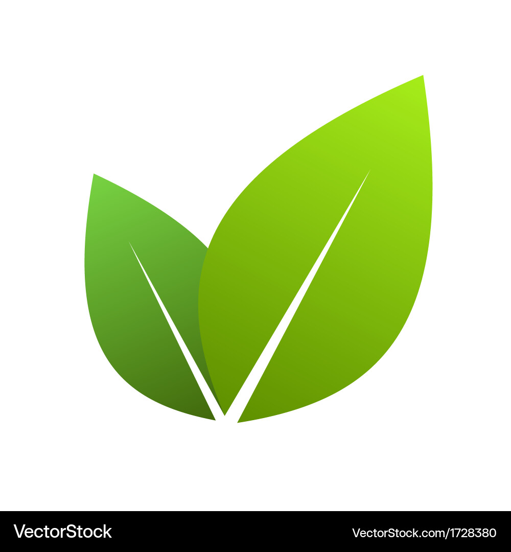Green leaves Royalty Free Vector Image - VectorStock