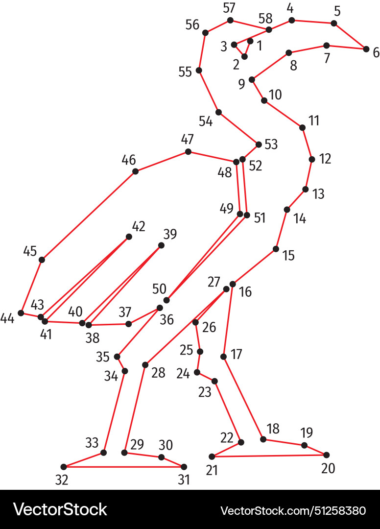 Ibis bird Royalty Free Vector Image - VectorStock