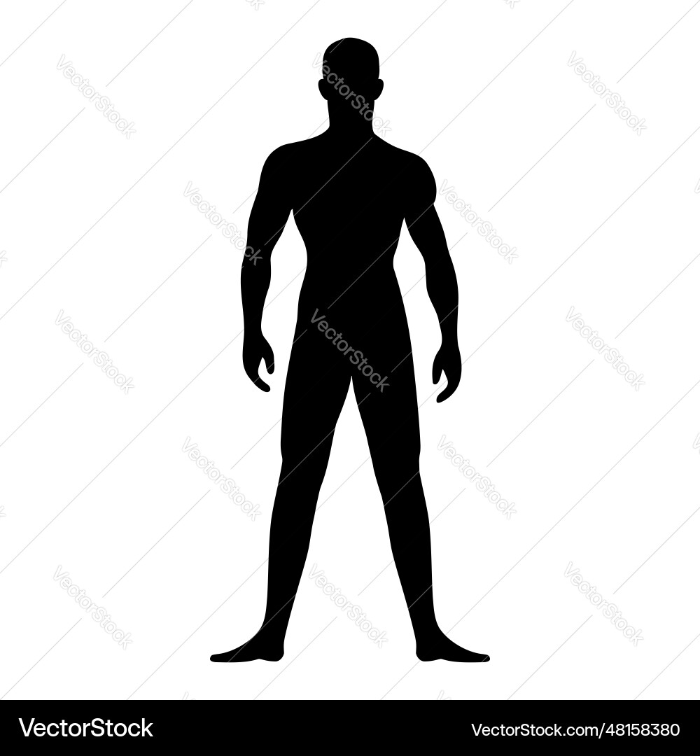 Male athletic human body silhouette Royalty Free Vector