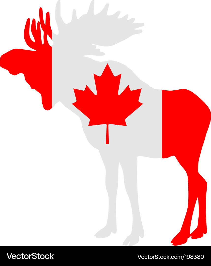 Moose on Canadian Flag Royalty Free Vector Image