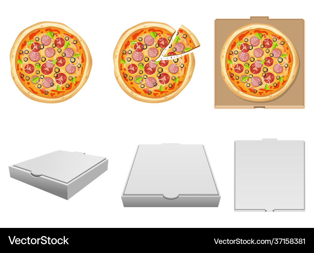 Fresh delicious pizza design isolated on white Vector Image