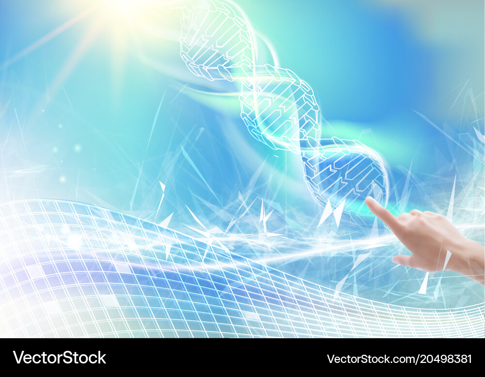 Human hand pointing to the dna Royalty Free Vector Image