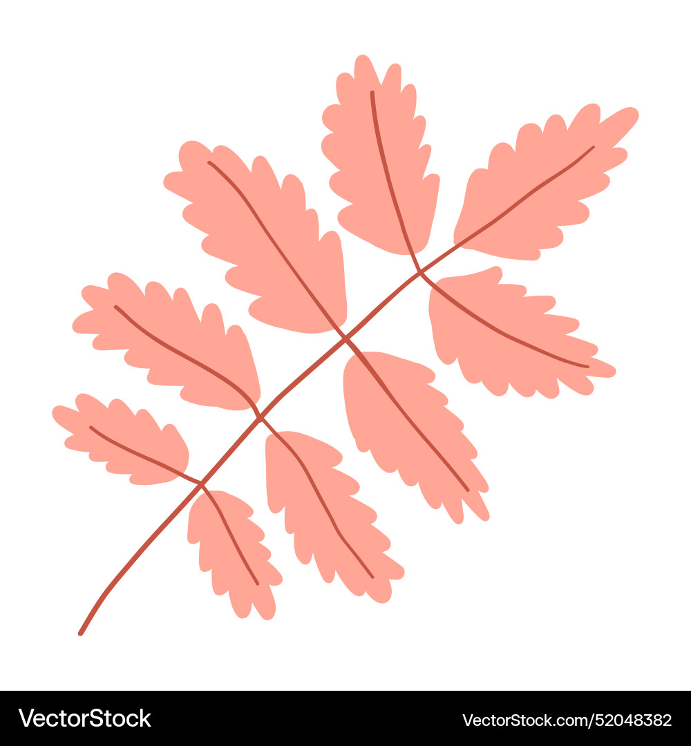 A simple of pink autumn leaf Royalty Free Vector Image
