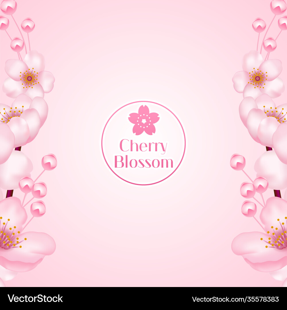 Pink cherry blossom sakura Royalty Free Vector Image
