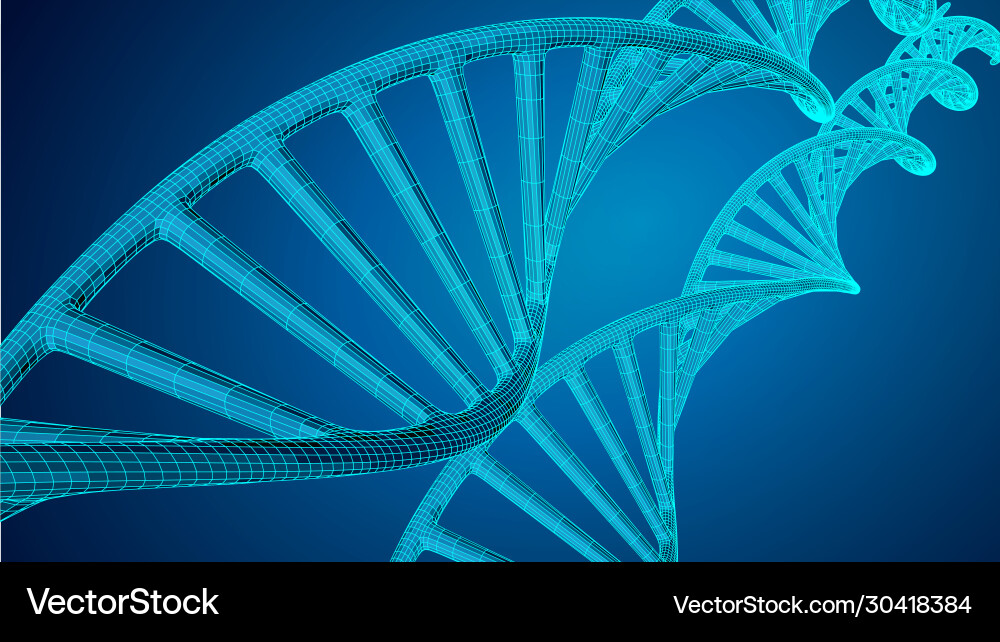 Genome dna structure eps Royalty Free Vector Image