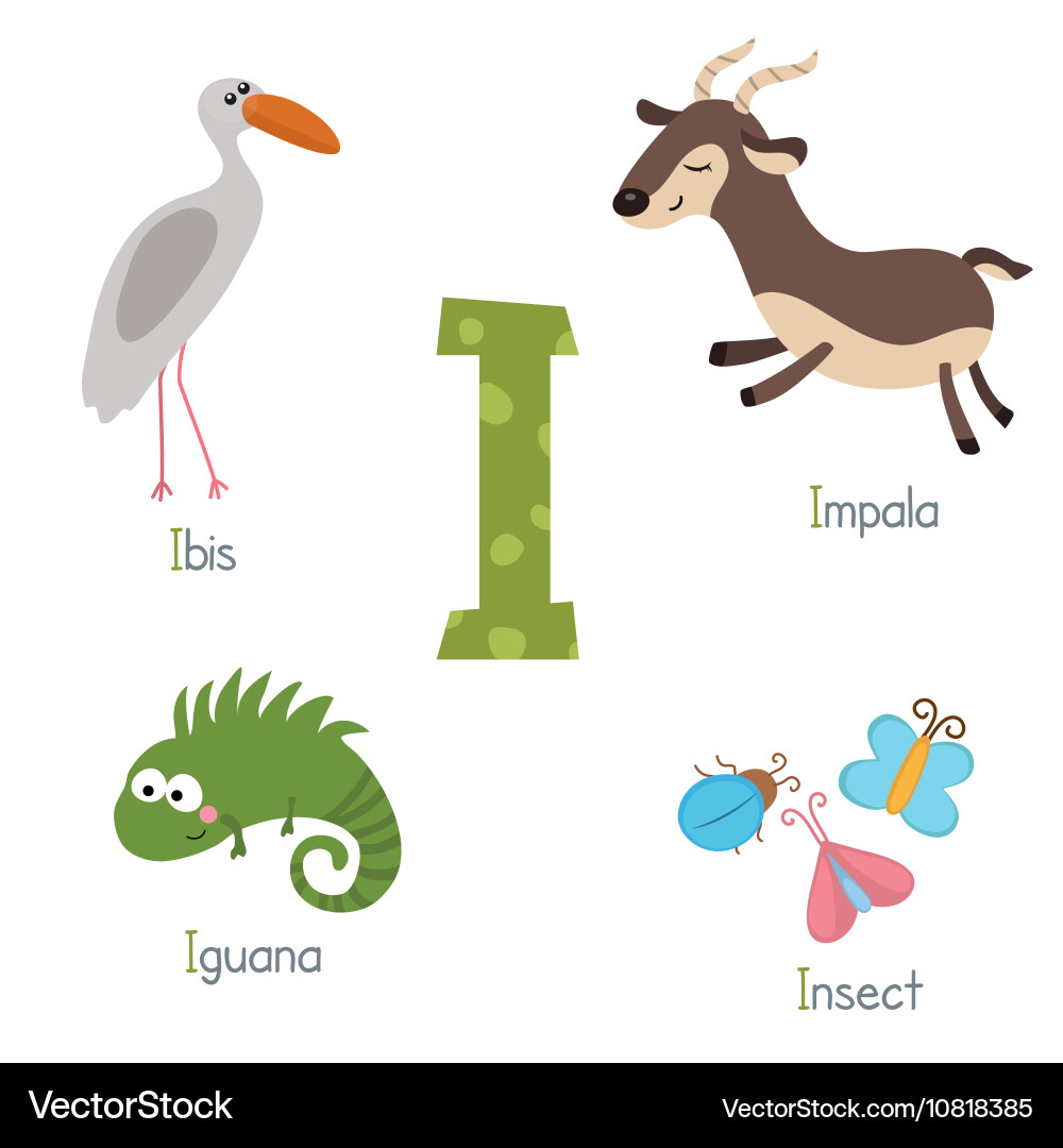 Cute zoo alphabet Royalty Free Vector Image - VectorStock