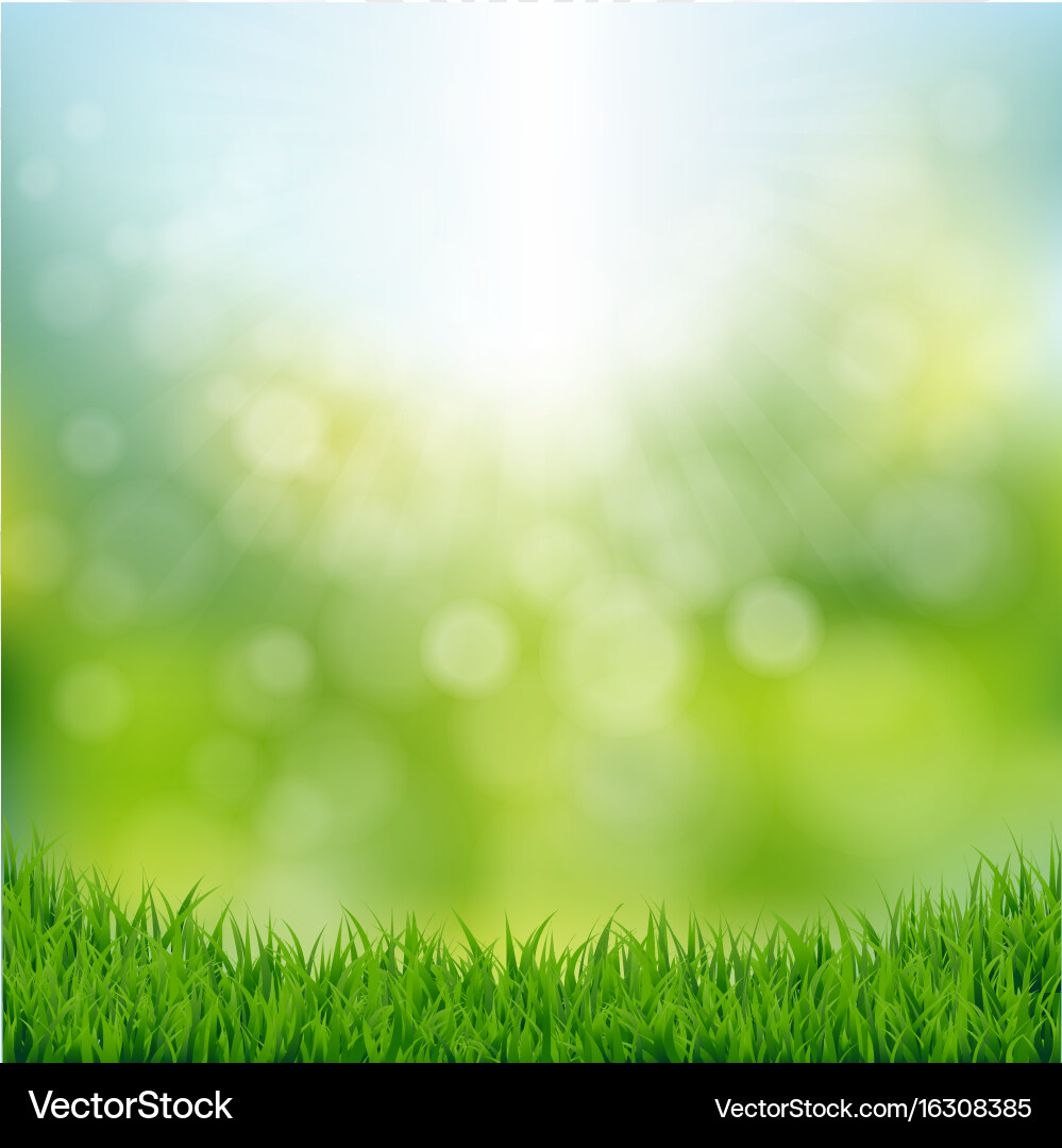 Spring time Royalty Free Vector Image - VectorStock