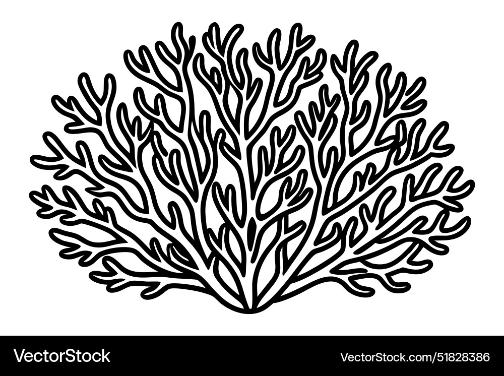 Coral clean line art white background c Royalty Free Vector