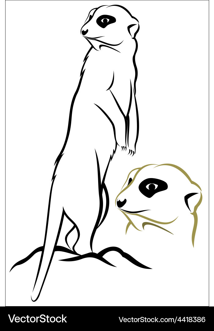 Meerkat Royalty Free Vector Image - VectorStock