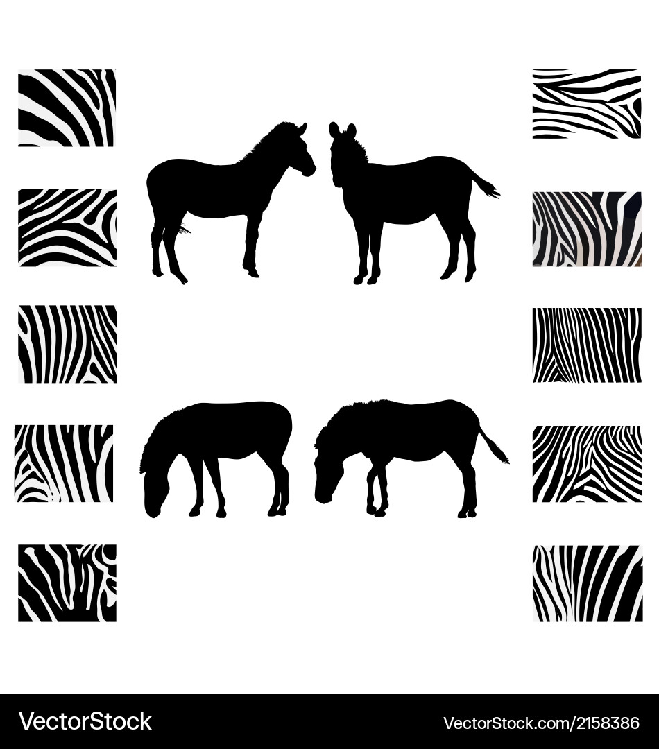 Zebra Royalty Free Vector Image - VectorStock