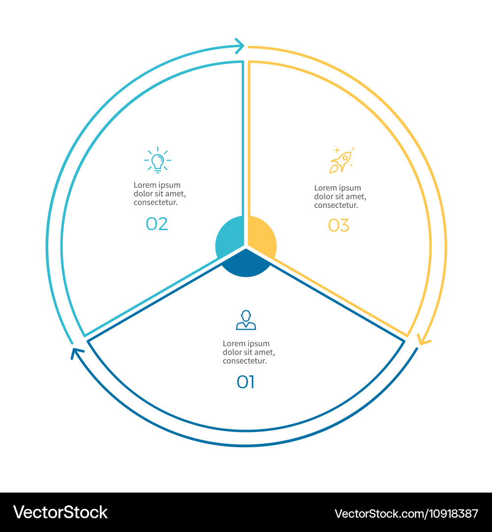 Linear infographics pie chart diagram with 3 Vector Image