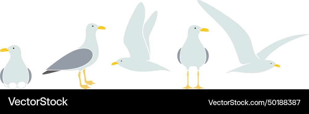 Seagull Royalty Free Vector Image - VectorStock