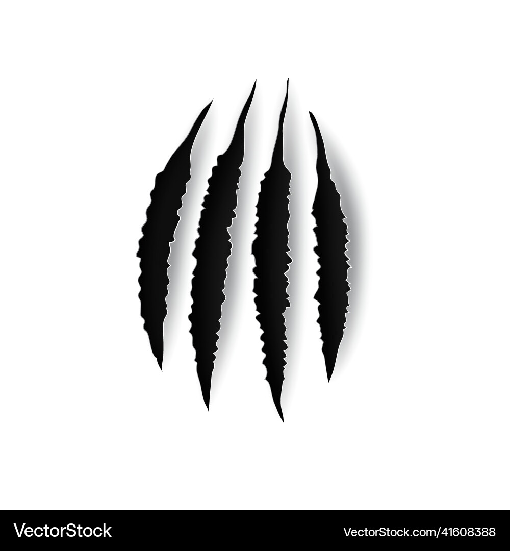 Beast scratch claw tear off paper isolated trace Vector Image