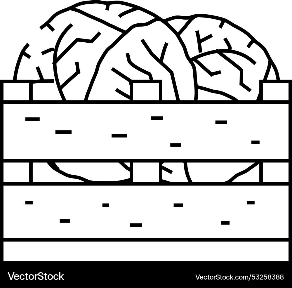 Box cabbage line icon Royalty Free Vector Image