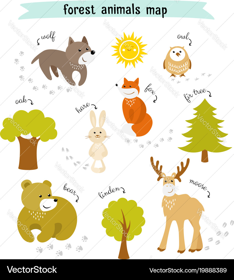 Forest animals map with trees and footprints Vector Image