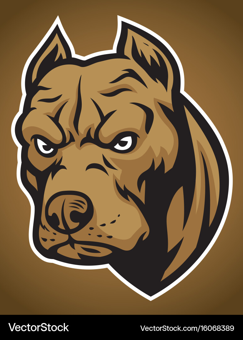Pitbull Head Vector