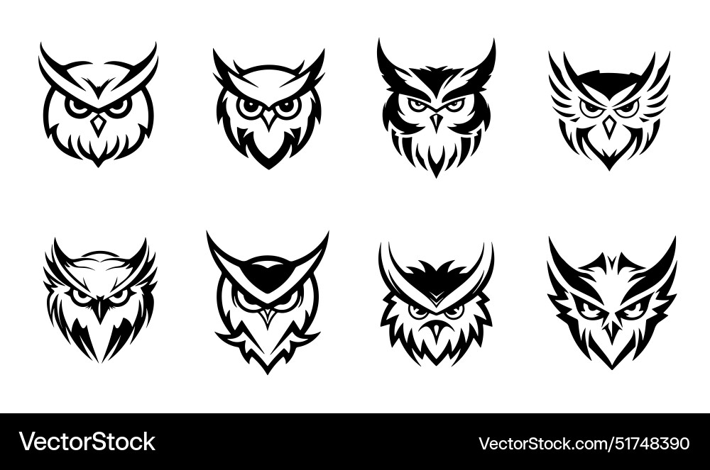 Owls birds isolated on white background set Vector Image