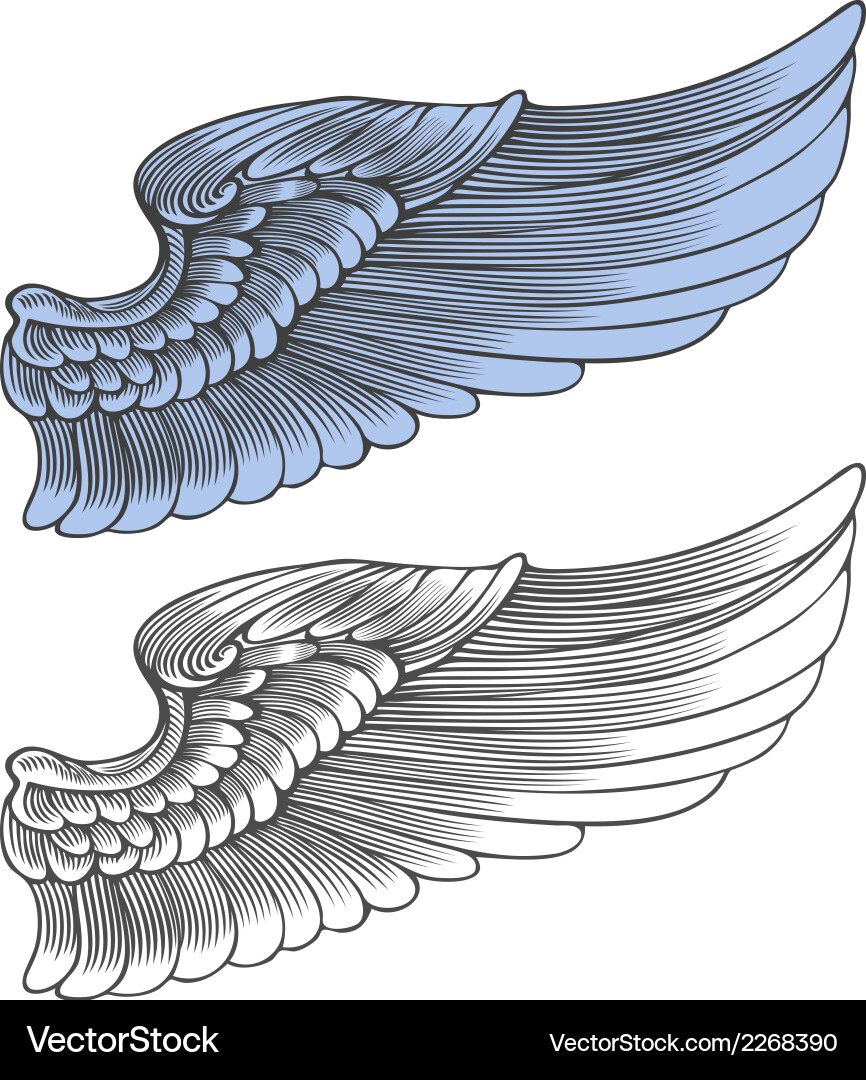 Wing in engraving style Royalty Free Vector Image