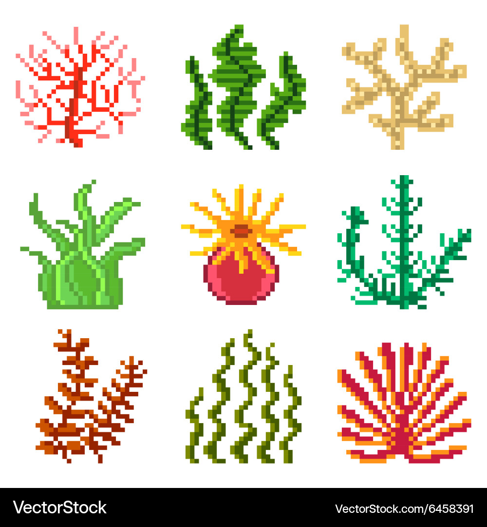 Pixel seaweed for games icons set Royalty Free Vector Image