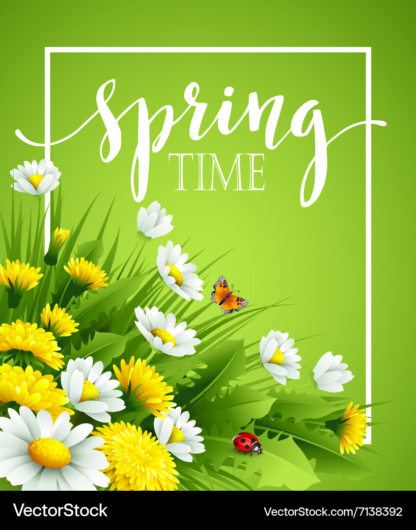Fresh spring background with grass dandelions Vector Image