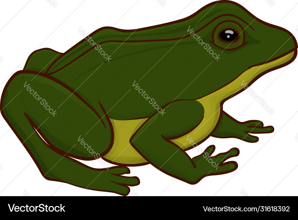 Green frog Royalty Free Vector Image - VectorStock