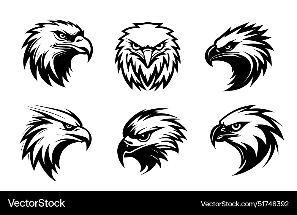 Stylized eagle head emblem for your design Vector Image