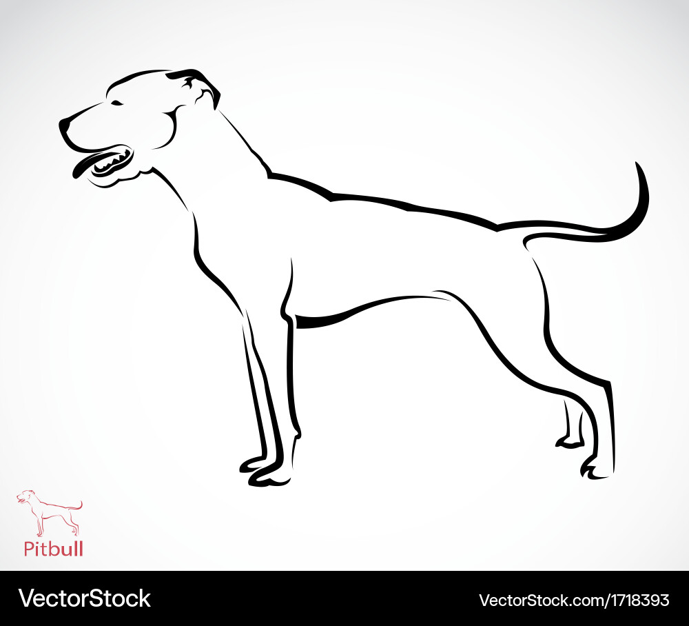 Pitbull Royalty Free Vector Image - VectorStock