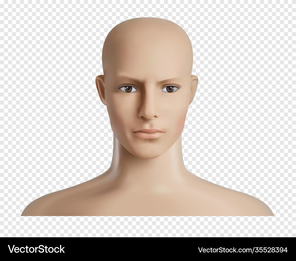 3d human model with face female or male head Vector Image