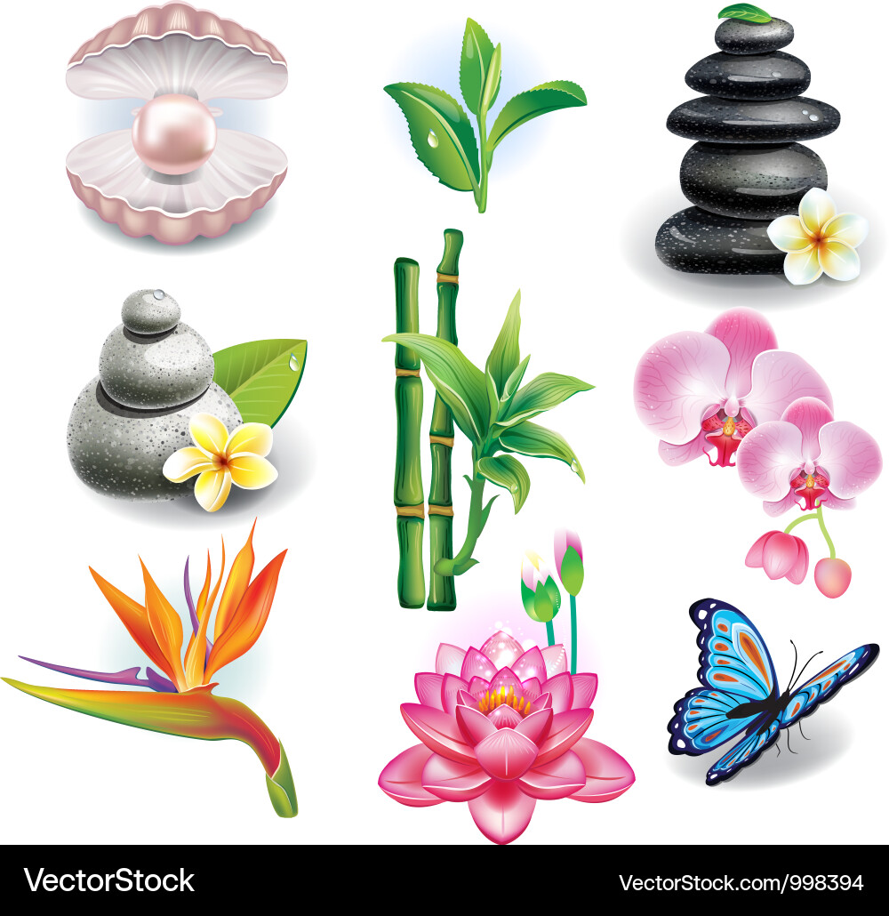 Set of spa symbols Royalty Free Vector Image - VectorStock