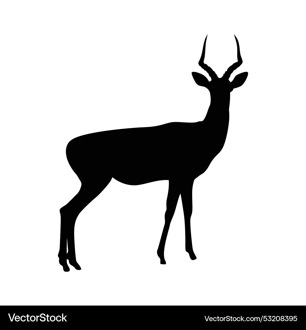 Animal icon shape gazelle impala antelope Vector Image