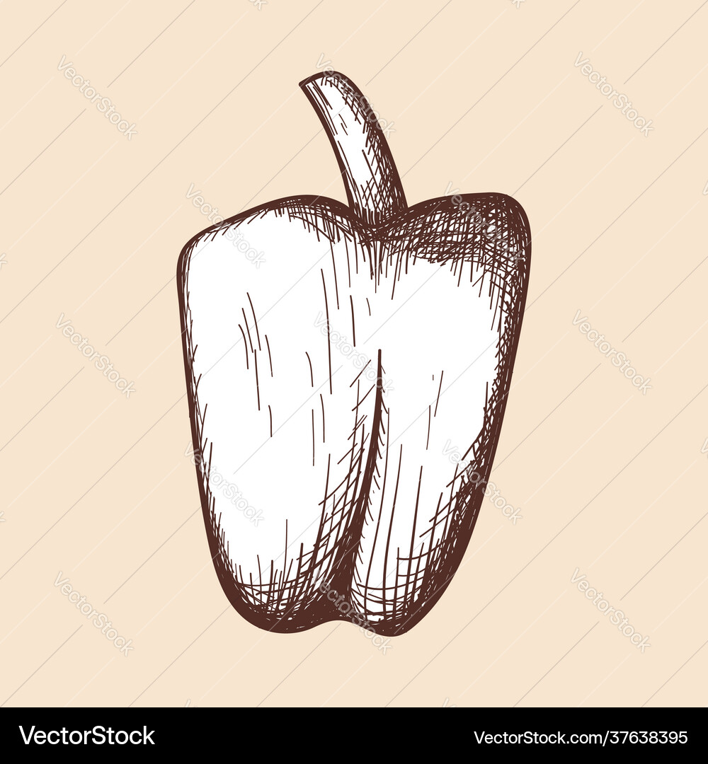 Pepper icon Royalty Free Vector Image - VectorStock