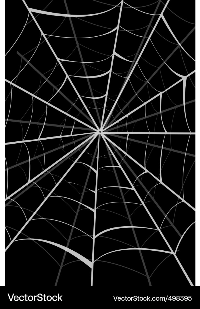 Spider web Royalty Free Vector Image - VectorStock