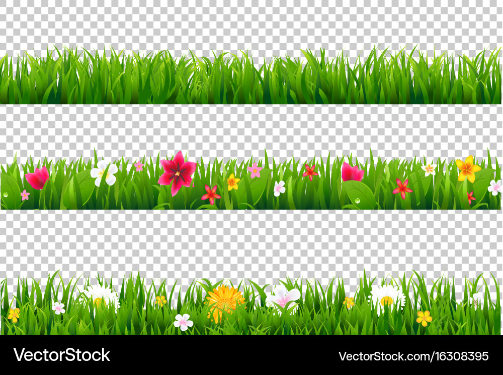Summer Flower Border Royalty Free Vector Image