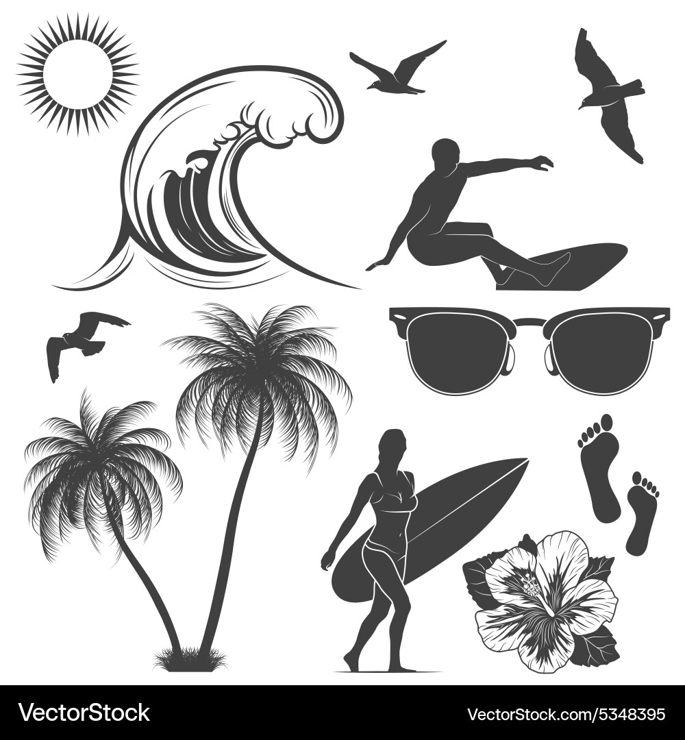 Surfing Elements Collection Royalty Free Vector Image