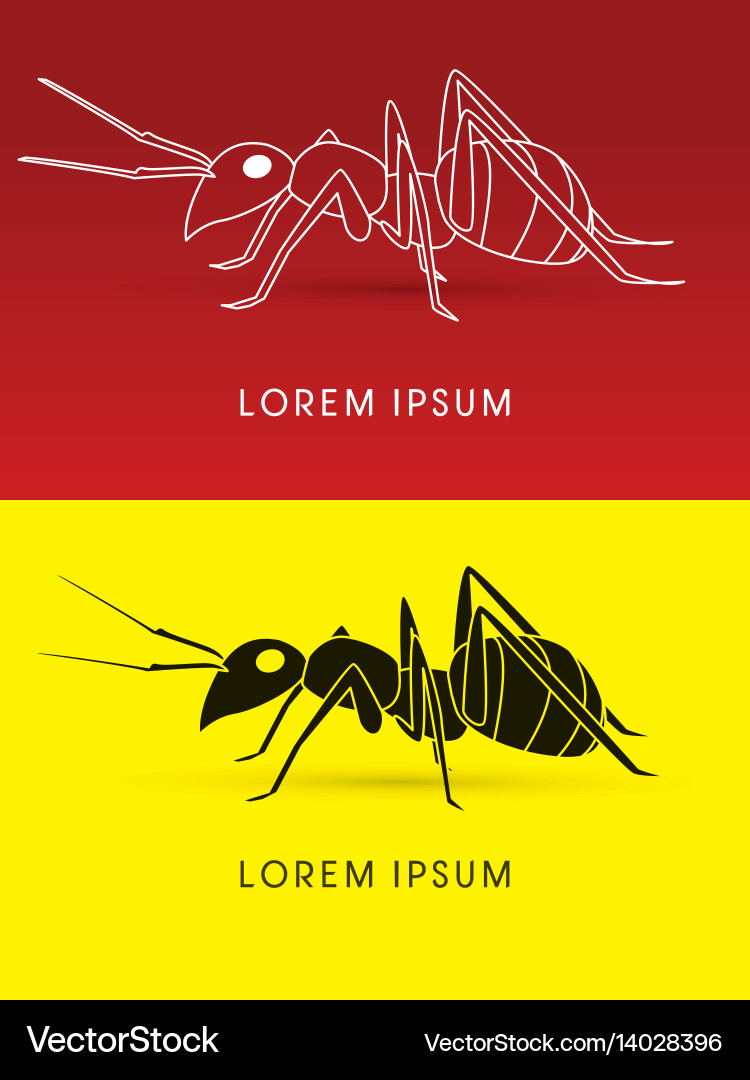 Ant walking outline Royalty Free Vector Image - VectorStock