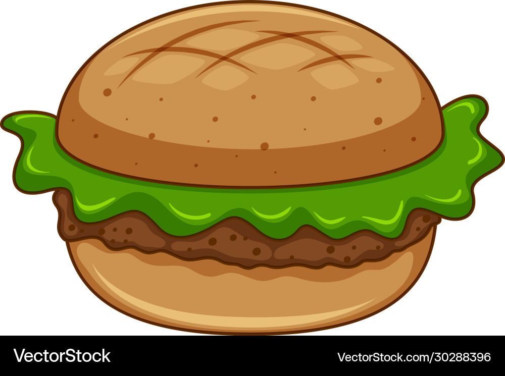 Burger Lettuce Vector