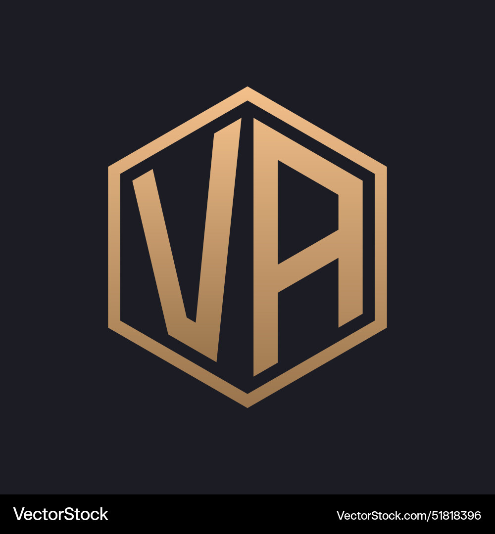 Elegant hexagon letter va logo design initial Vector Image