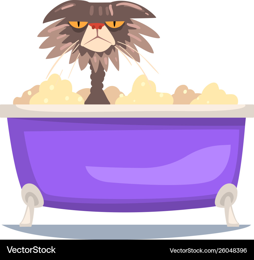 Funny angry cat taking bath cartoon Royalty Free Vector
