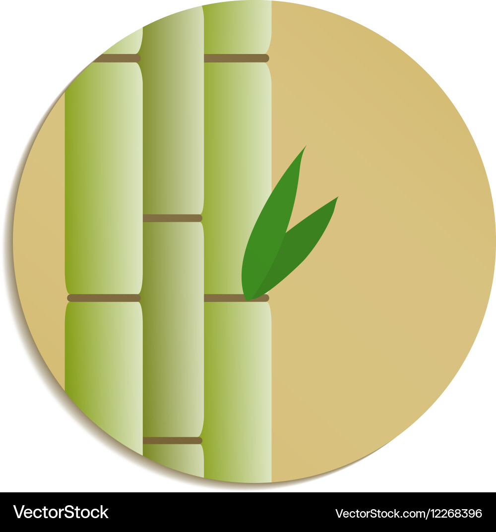 Sugar cane Royalty Free Vector Image - VectorStock