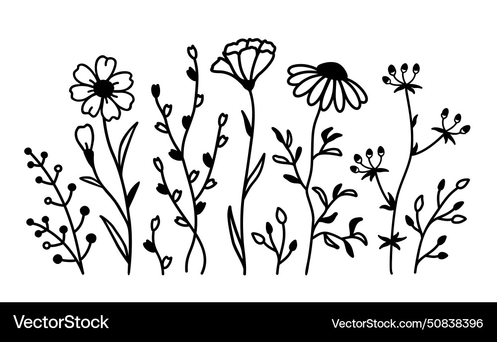 Wildflowers flowers isolated and floral pattern Vector Image