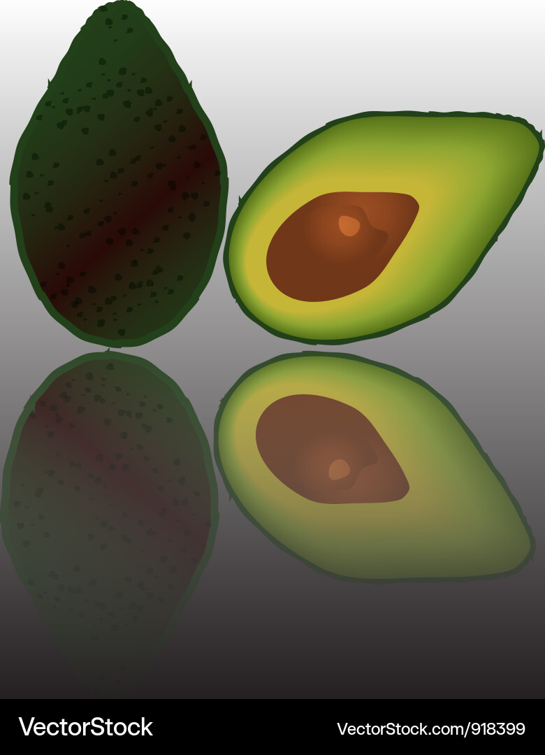 Avocado Royalty Free Vector Image - VectorStock