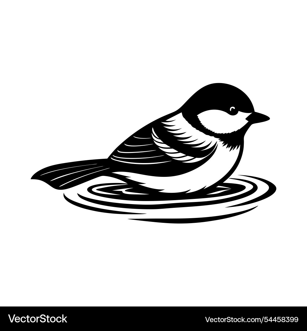 Black capped chickadee swimming Royalty Free Vector Image