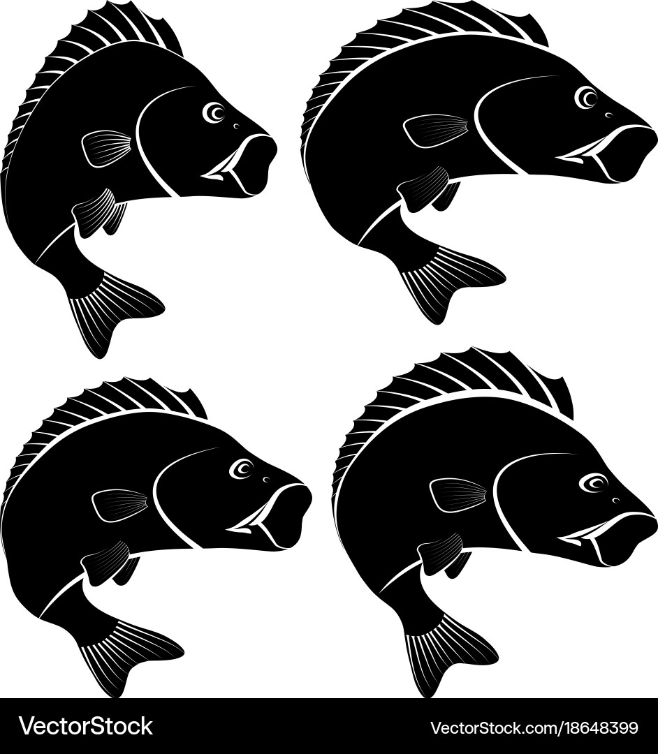Fish Royalty Free Vector Image - VectorStock